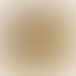 Buy fresho! Kolkata/Bengali Pakal Fish - Whole Cleaned Online at Best ...