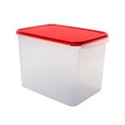 Buy Tupperware Container - Store It All, Red Lid Online at Best Price ...