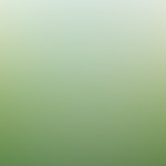 Buy Good knight Fabric Roll On Personal Repellent - Citrus Fragrance 8 ...