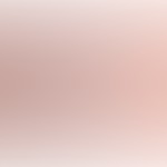 Buy Elite Half Cooked Chapati Online at Best Price of Rs 50 - bigbasket