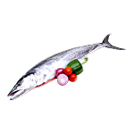 Buy Fresho Seer Fish Large Whole - B Online at Best Price of Rs 650 ...