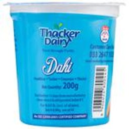 Buy Thacker Dairy Dahi Online at Best Price of Rs null - bigbasket