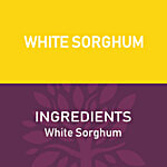 Buy Bliss Tree White Sorghum/Vellai Solam Online at Best Price of Rs 55 ...