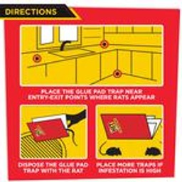 Buy HIT Rat/Mouse Glue Pad - No Smell, Non-Poisonous Online at Best ...