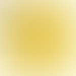 Buy HIT Rat/Mouse Glue Pad - No Smell, Non-Poisonous Online at Best ...