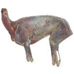 Buy fresho! Mutton - Goat Carcass-B Online at Best Price of Rs 800 ...
