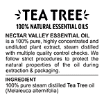 Buy Nectar Valley Tea Tree Oil Online at Best Price of Rs 450 - bigbasket