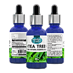 Buy Nectar Valley Tea Tree Oil Online at Best Price of Rs 450 - bigbasket