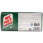 Buy Wc Net Intense 4Blocks Mountain Fresh Online at Best Price of Rs ...