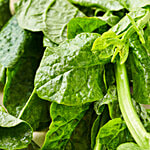 Buy fresho! Basale Leaf Online at Best Price of Rs 15.62 - bigbasket
