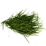 Buy fresho! Durva Grass/Garike - Used To Decorate, For Festivals & Puja ...