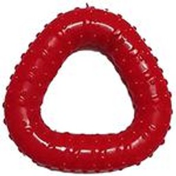 Buy First Pet Natural Rubber Triangle Toy - Chew Toy For Teething ...