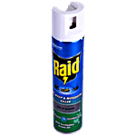 Buy Raid Fly & Wasp & Mosquito Killer - Kills In Seconds, With ...