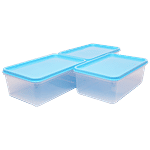 Buy Unica Flamante Rectangular Containers Set - Durable, Storage Boxes ...