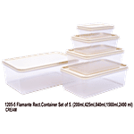 Buy Unica Flamante Rectangular Containers Set - Durable, Storage Boxes ...