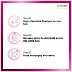 Buy Streax Professional Canvo Line Shampoo Online at Best Price of Rs ...