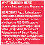 Buy Phy Apple Cider Vinegar Shampoo - Conditions Hair, Restores Scalp ...