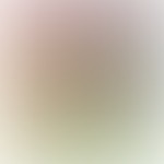 Buy Prasuma Vegetable Spring Rolls - Frozen, Steam Or Fry, Ready In 5 ...