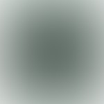 Buy Continental Greenbird Plant Based Mutton Keema - Good Source Of ...