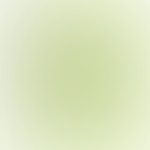 Buy Prasuma Bao Buns - Veg Pizza, Stuffed Bread, No Preservative ...