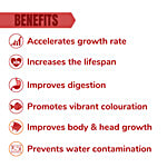 Buy Taiyo Pluss Discovery Hi-Red Premium Flower Horn Fish Food - Colour ...