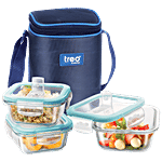 Buy Treo Lunch Box - All Fresh Square Glass Tiffin Containers With ...