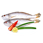 Buy fresho! Croaker Fish - Medium, Whole & Uncleaned, Great Source Of ...