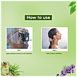 Buy Nyle Natural & Pure Anti Dandruff Shampoo - With Goodness Of Tea ...