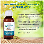 Buy DURMERIC Onedrop Intensive Cardamom Herbal Drops - Controls Bad ...