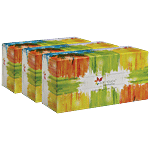 Buy Soft Touch Facial Tissue - 2 Ply Online at Best Price of Rs 495 ...