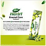 Buy Dabur Herbal Enamel Care Toothpaste - Olive, Longlasting Freshness ...