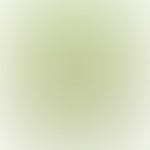 Buy Bubble Organic Channa Dhal Online at Best Price of Rs 255 - bigbasket