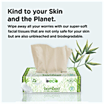 Buy Beco Facial Tissues - 2 Ply Online at Best Price of Rs 315 - bigbasket