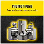 Buy Bitter Powerful Protection From Rats Spray - Camphor Fragrance, Non ...