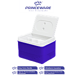 Buy Princeware Super Chiller Ice Box - Blue, Durable, Easy Handy Online ...