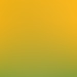 Buy 24 Mantra Organic Low GI Rice - Non-Sticky, Gluten Free, Diabetic ...