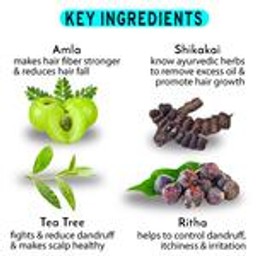 Buy Muuchstac Cocoalo Daily Shampoo - For Dandruff & Hairball Control ...