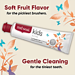 Buy Red Seal Kids SLS Free Toothpaste - Bubble Gum Flavour Online at ...