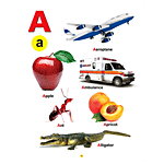 Buy Junior Diamond My Cute ABC Picture Dictionary - For Kids, 32 Pages ...