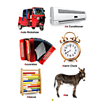 Buy Junior Diamond My Cute ABC Picture Dictionary - For Kids, 32 Pages ...