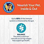 Buy Goofy Tails Lamb Bone Broth Meal Topper - For Dogs Online at Best ...