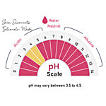 Buy Skin Elements Women's Intimate Wash - With Rose & Chamomile Floral ...