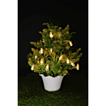 Buy Eveready LED Golden Crystal String Light - 3000K, Diwali Special ...