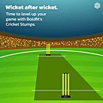 Buy Boldfit Cricket Stumps With Stand & Bails, Plastic Wickets ...