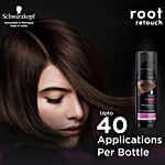 Buy Schwarzkopf Root Retouch Temporary Root Cover Spray - Instant Grey ...