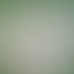 Buy Fit Foods Kalimooch/Chinnor Rice Online at Best Price of Rs 115 ...