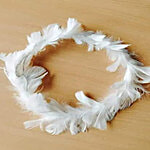 Buy Desidiya Feather LED Tiara Crown - With Flashing Lights For Women ...