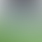 Buy hoop Mess Less Pain Roll On Online at Best Price of Rs 490 - bigbasket