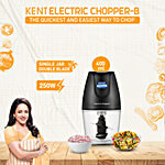 Buy kent Electric Chopper-B - 250 W, Stainless Steel Double Chopping ...