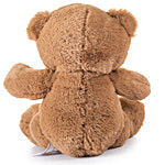 Buy Dimpy Stuff Premium Bear Soft Toy Online at Best Price of Rs 329 ...